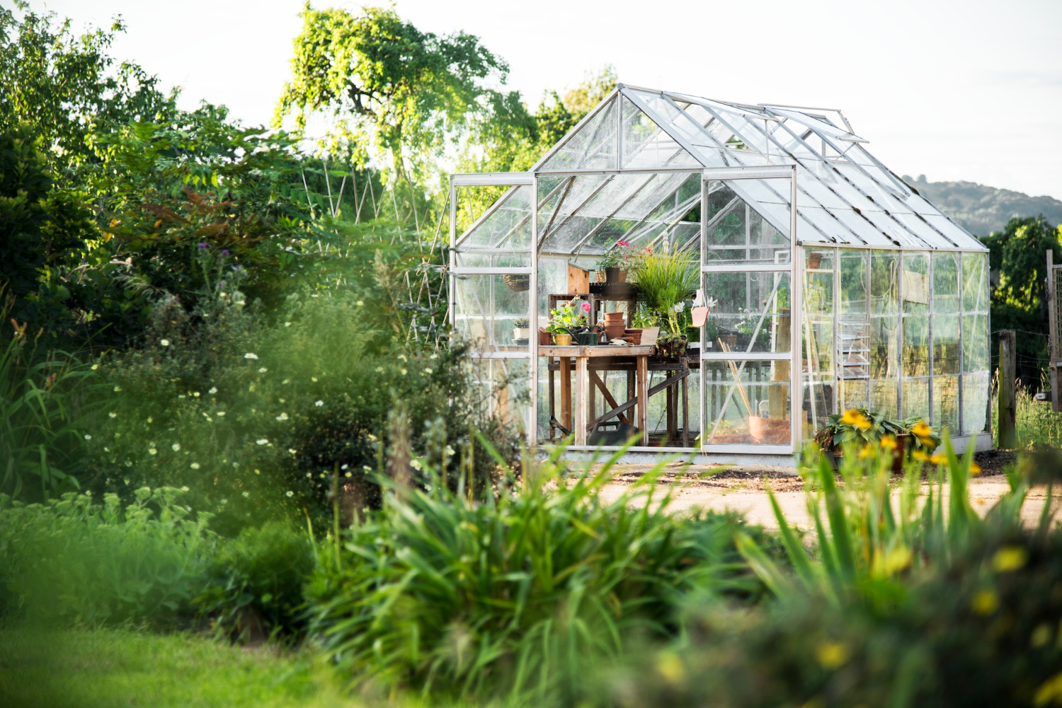 Guide to Polycarbonate Sheet Thickness for Greenhouses - ERoofing